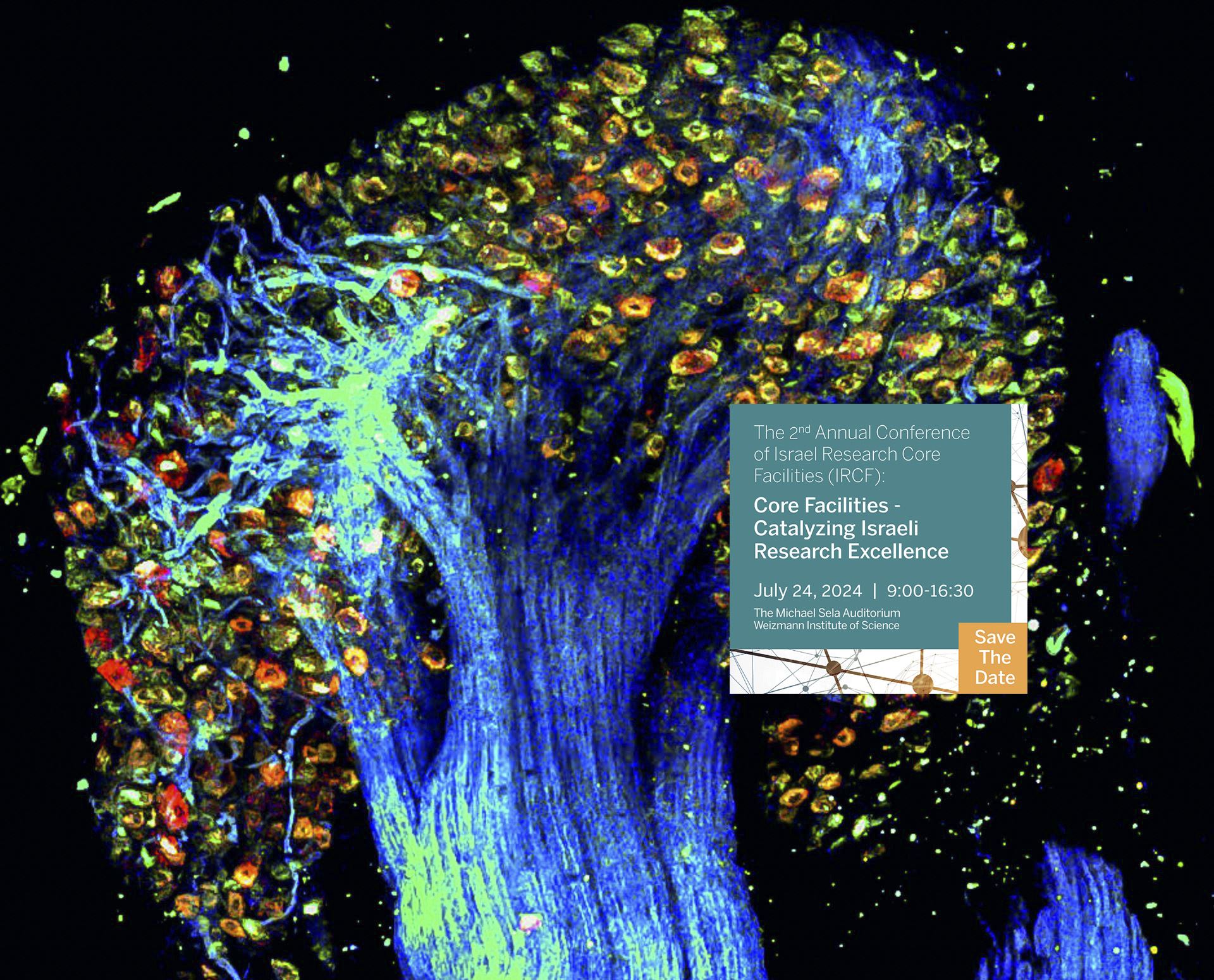 IRCF | דף הבית